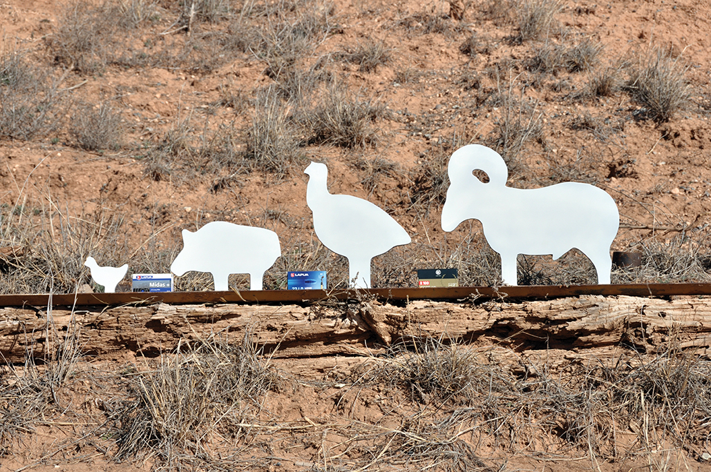 .22 BPCR Silhouette | Black Powder Cartridge